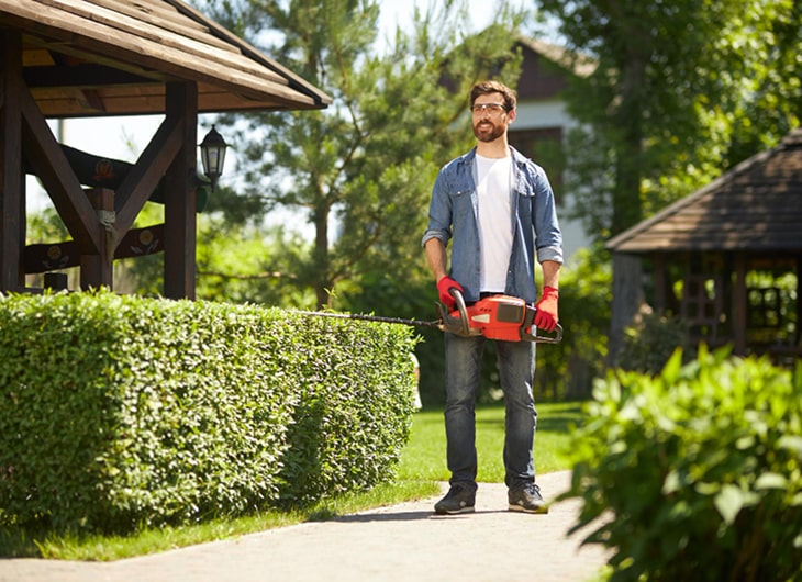 Merawat Taman Rumah agar Terlihat Profesional - Floria.id